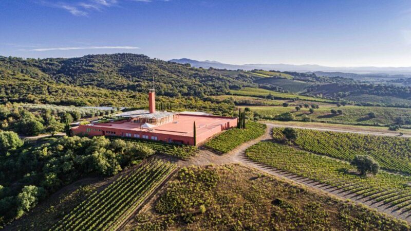 Rocca di Frassinello Winery: Tour & Wine Tasting in Tuscany - The Guided Cellar Tour
