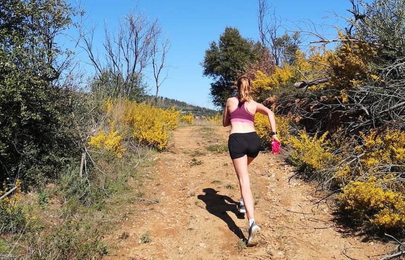 Rocha da Pena: Hiking Trail Running Algarve - Practical Information and Tips