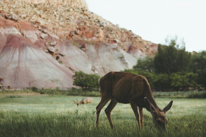 Rock Climbing Day Trip at Smith Rock State Park - How Authentic Is This Experience?
