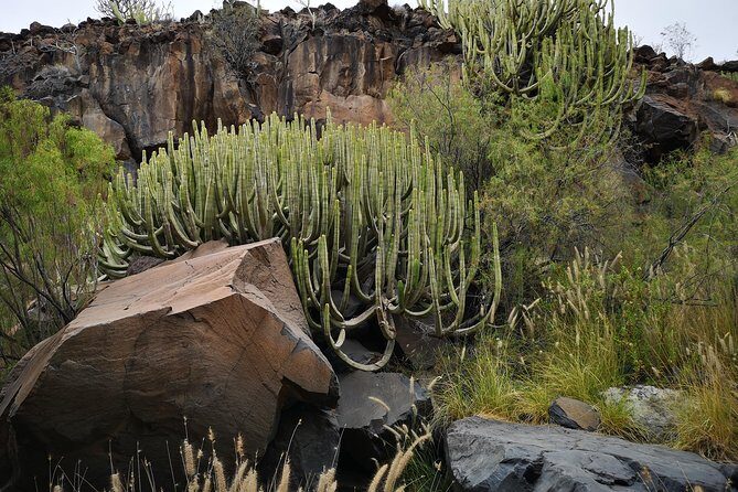 Rock climbing in natural space. - Other Considerations