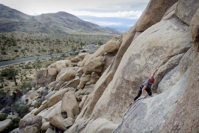 Rock Climbing Trips in Joshua Tree National Park (4 Hours) - Scheduling, Price, and Value