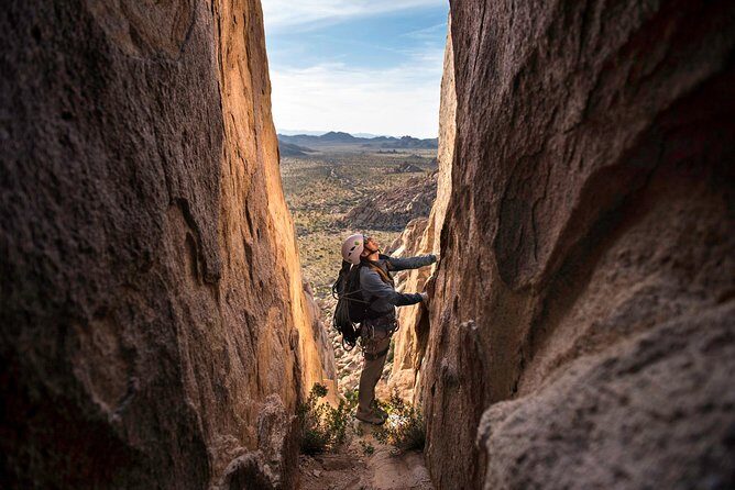 Rock Climbing Trips in Joshua Tree National Park (6 Hours) - Personalized Route Selection