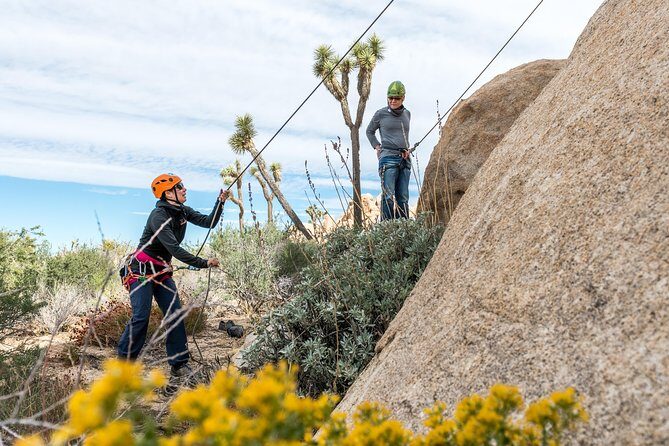 Rock Climbing Trips in Joshua Tree National Park (6 Hours) - The Intimate, Crowd-Free Setting