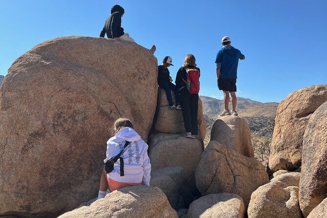 Rock Scrambling Adventures in Joshua Tree National Park - An In-Depth Look at the Experience