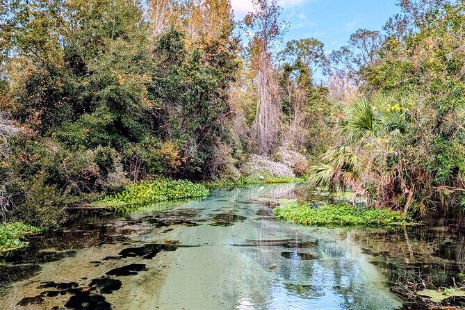 Rock Springs River Tubing & Apopka Wildlife Adventure with Pickup - In Closing