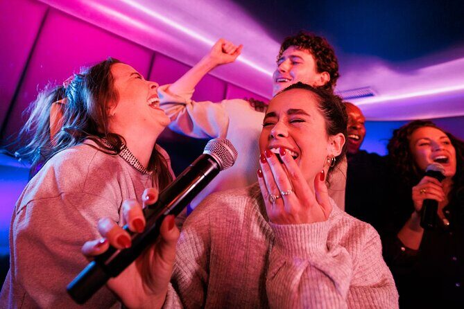 Rock the Mic Karaoke Party Bus - An Up-close Look at the Rock the Mic Karaoke Party Bus