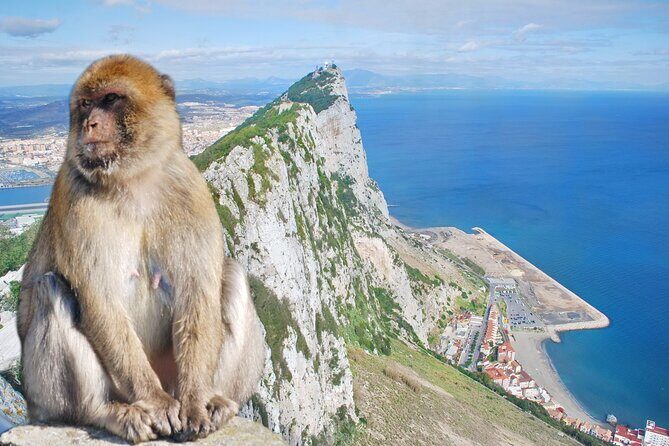 Rock Tour in Gibraltar by Bus with Tickets - The Sum Up
