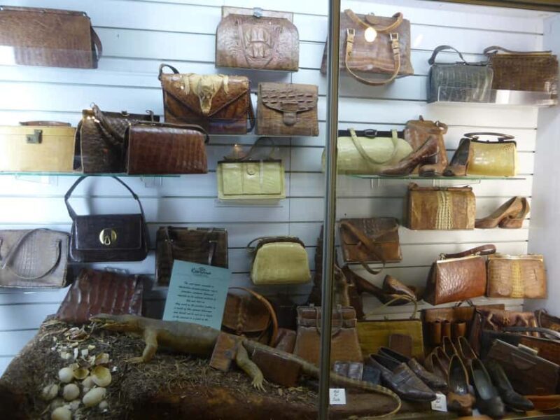 Rockhampton: Koorana Crocodile Farm Guided Tour - Authenticity and Experience Quality