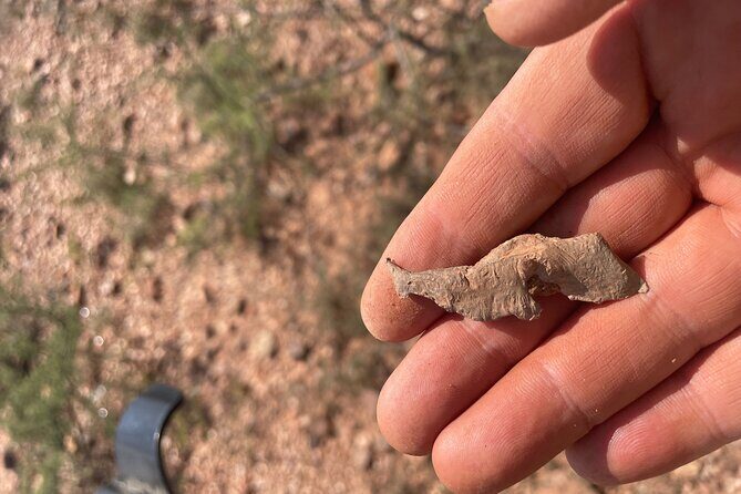 Rockhounding in Bisbee - What to Expect on This Rockhounding Tour