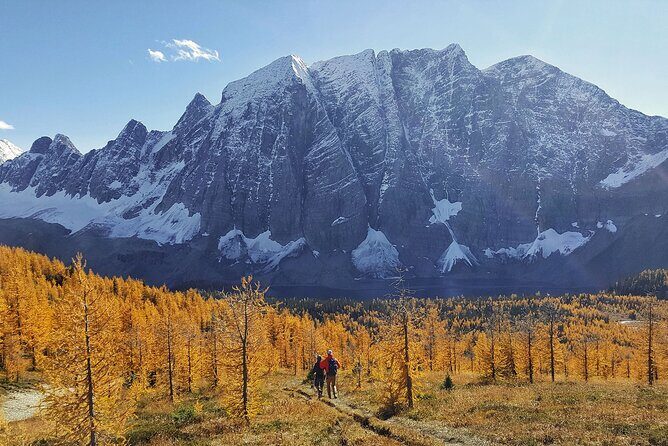 Rockies Fall/Spring Premium Tour from Vancouver - Why This Tour Offers Great Value