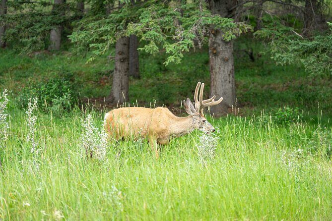 Rockies Fall/Spring Premium Tour from Vancouver - FAQ