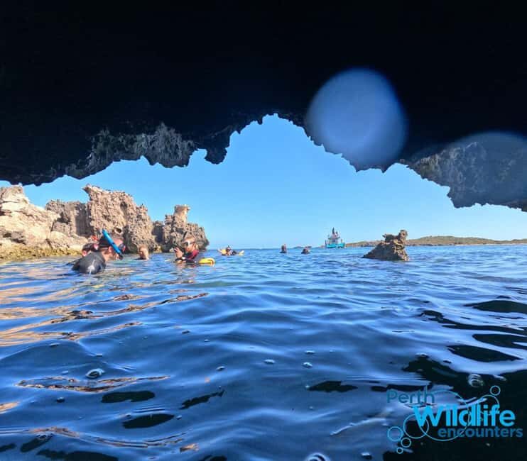 Rockingham: 3 Island Wildlife Snorkeling Cruise with Lunch - Key Points