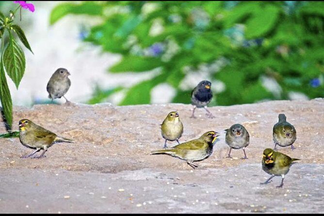 Rockland Bird Sanctuary and Hip-Strip Shopping - Value and Overall Impression