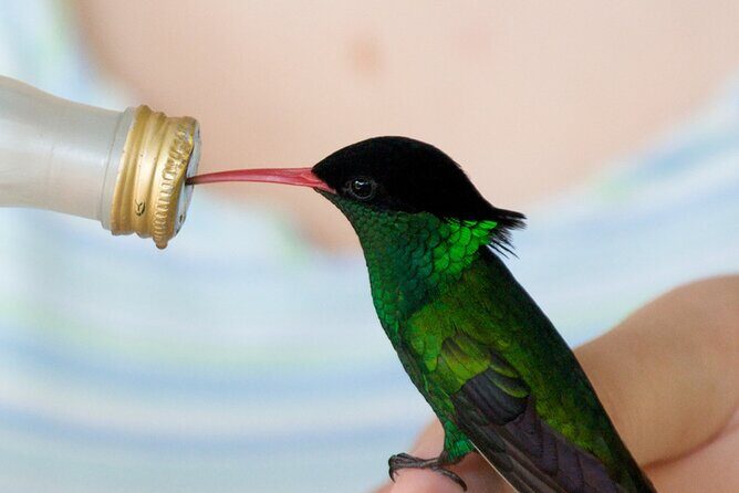 Rockland Bird Sanctuary Private Tour - Frequently Asked Questions