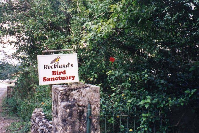 Rockland Bird Sanctuary Private Tour - Introduction: What’s the Scoop on Rockland Bird Sanctuary?