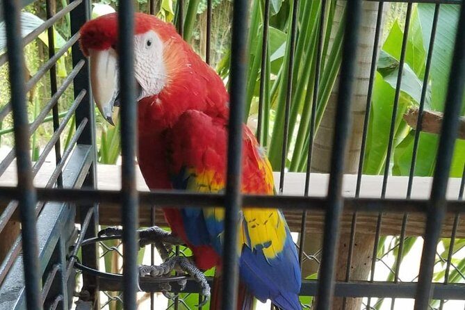 Rockland Bird Sanctuary Private Tour - Practical Tips for Your Visit