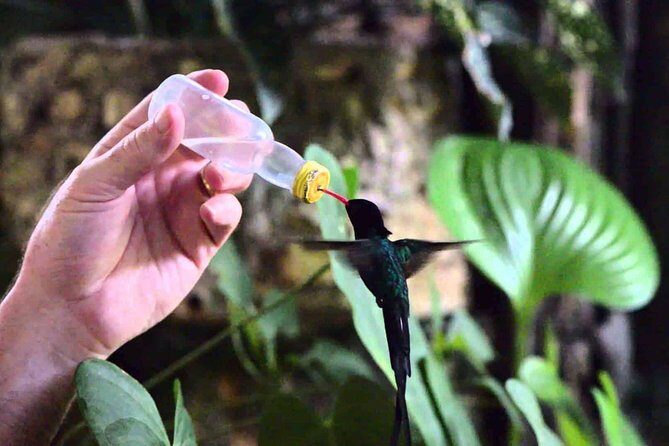 Rockland Bird Sanctuary Private Tour - The Sum Up: Who Will Find This Tour Worthwhile?