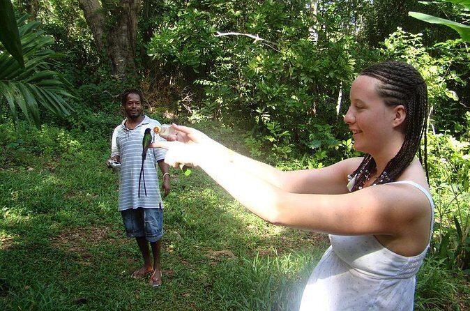 Rockland Bird Sanctuary Tour [Transportation] Hotel Pick-Up - The Experience Provider