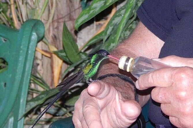 Rocklands Bird Sanctuary & City Highlights plus Shopping from Grand Palladium - Who Should Book This Tour?