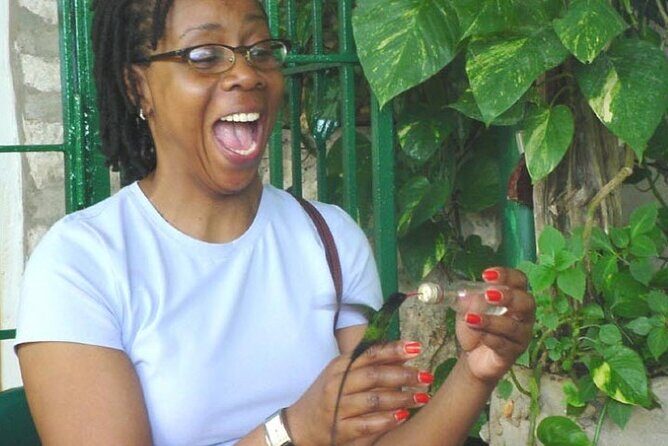 Rocklands Bird Sanctuary & City Highlights plus Shopping from Montego Bay - Key Points