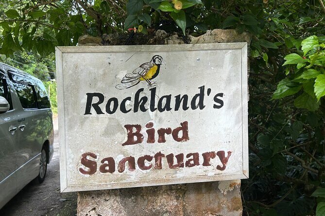 Rocklands Bird Sanctuary & St James Parish Church - A Closer Look at the Tour Experience