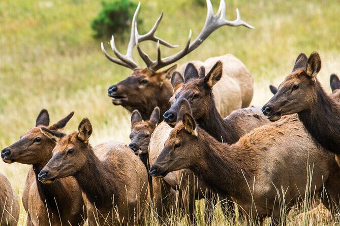 Rocky Mountain Escape - What the Tour Is All About