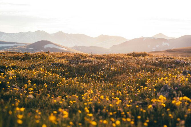 Rocky Mountain Full Day Private Tour & Hike from Denver / Boulder - Frequently Asked Questions