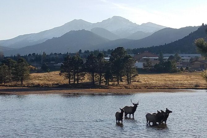 Rocky Mountain National Park and Estes Park Tour from Denver Winter and Spring - Starting Out in Denver: The Convenience of Pickup and Small Group Travel