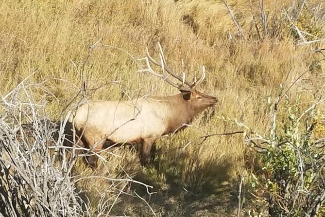 Rocky Mountain National Park and Estes Park Tour from Denver Winter and Spring - Witnessing Natural Power at Alluvial Fan