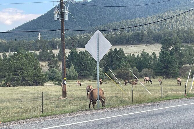 Rocky Mountain National Park Car Tour from Estes Park - Exploring the Itinerary in Detail