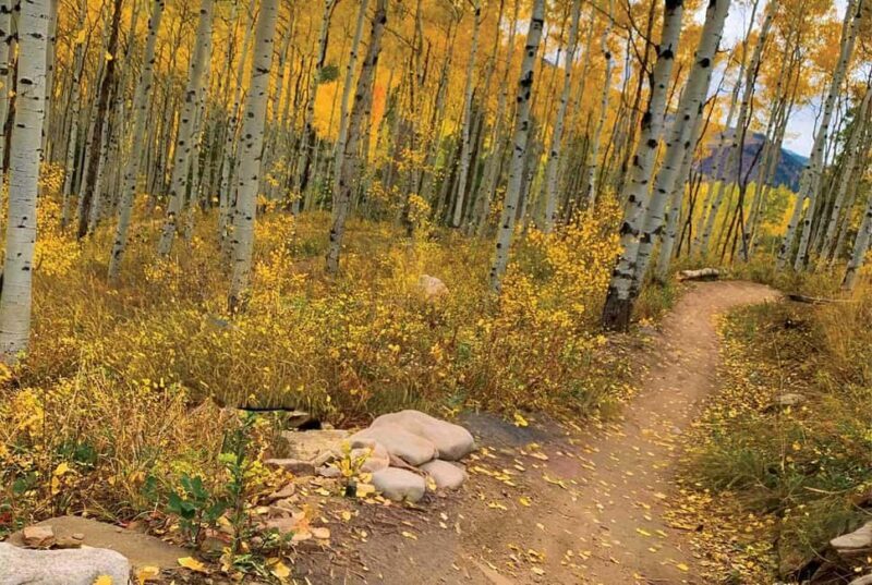 Rocky Mountain National Park Hike - Who Should Consider This Tour?