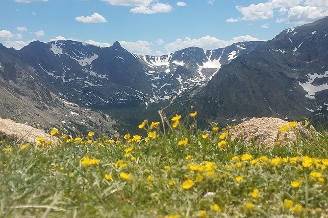 Rocky Mountain National Park in Summer Tour from Denver - Rocky Mountain National Park in Summer Tour from Denver: A Comprehensive Review