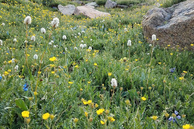Rocky Mountain National Park in Summer Tour from Denver - In Closing