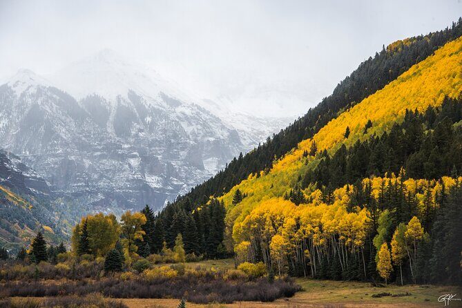 Rocky Mountain National Park - Private Sightseeing Tour - Uncovering the Magic: What Makes This Tour Stand Out?