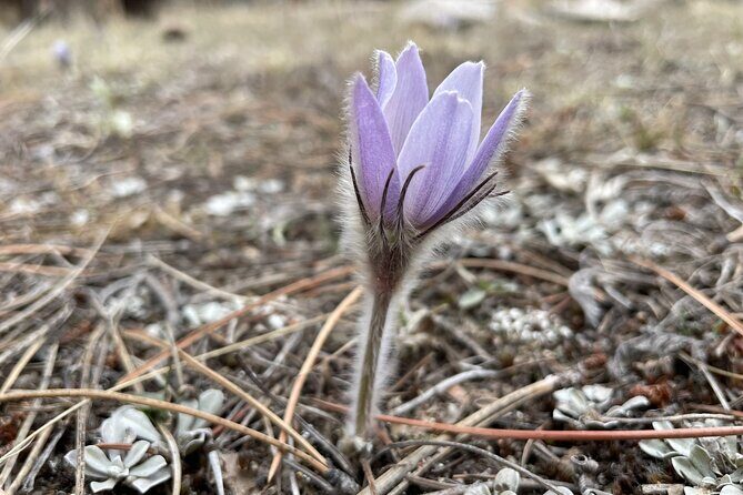 Rocky Mountain National Park Private Tour - The Sum Up: Is This Tour Right for You?
