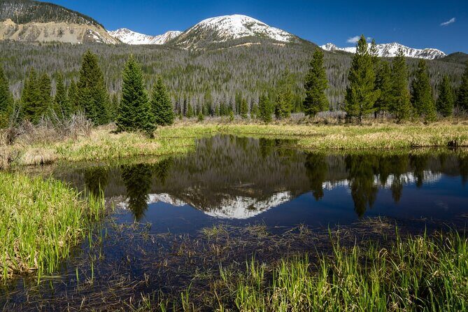 Rocky Mountain National Park Self-Guided Driving Audio Tour - An Honest Look at the Experience