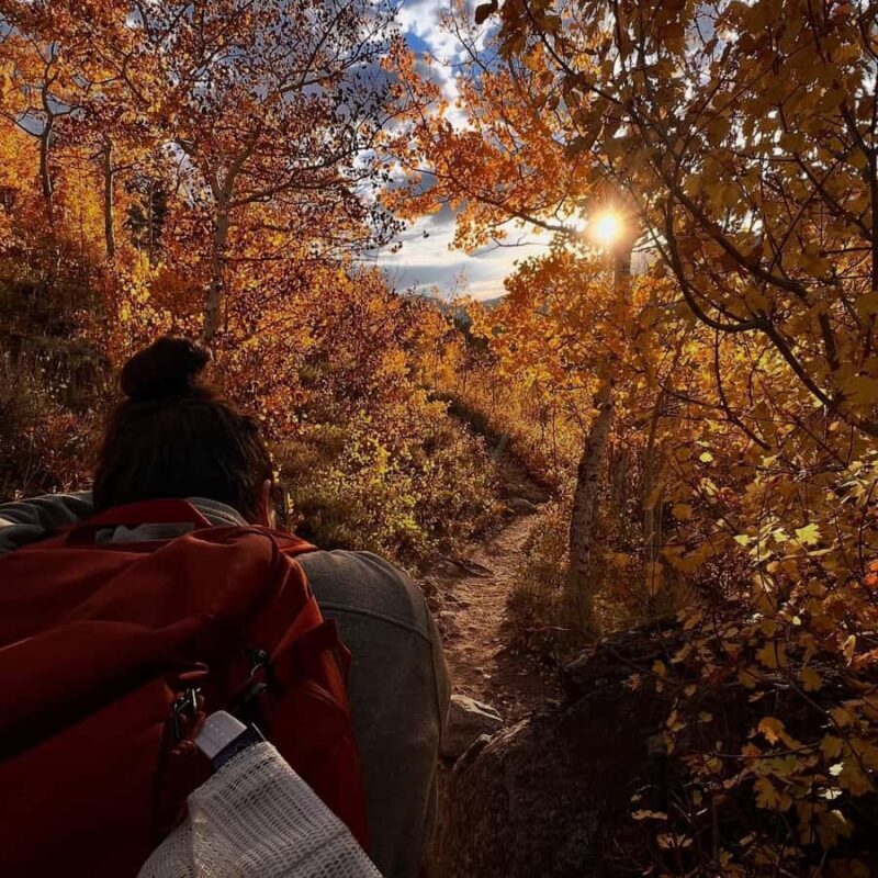 Rocky Mountain National Park: Sunrise Guided Hike - Practical Details Matter