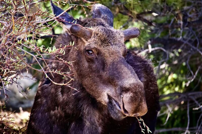 Rocky Mountain National Park: The Bear Lake Corridor - The Sum Up