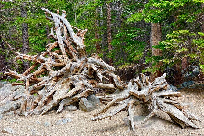 Rocky Mountain National Park Tour from Denver - Final Thoughts