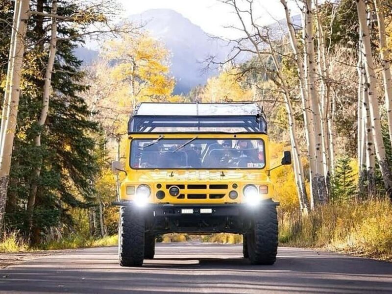 Rocky Mountain Winter Wonderland Adventure Tour - Wildlife and Nature Insights