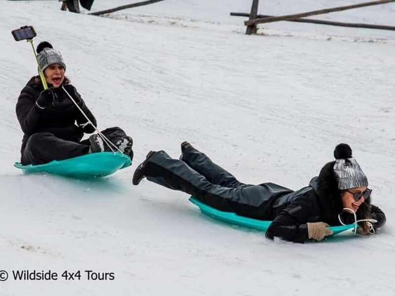 Rocky Mountain Winter Wonderland Adventure Tour - Pricing and Value