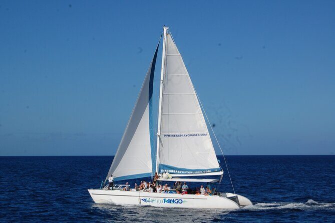 Rodney Bay to Soufriere Catamaran Transfer - Discover the Rodney Bay to Soufriere Catamaran Transfer: A Detailed Look