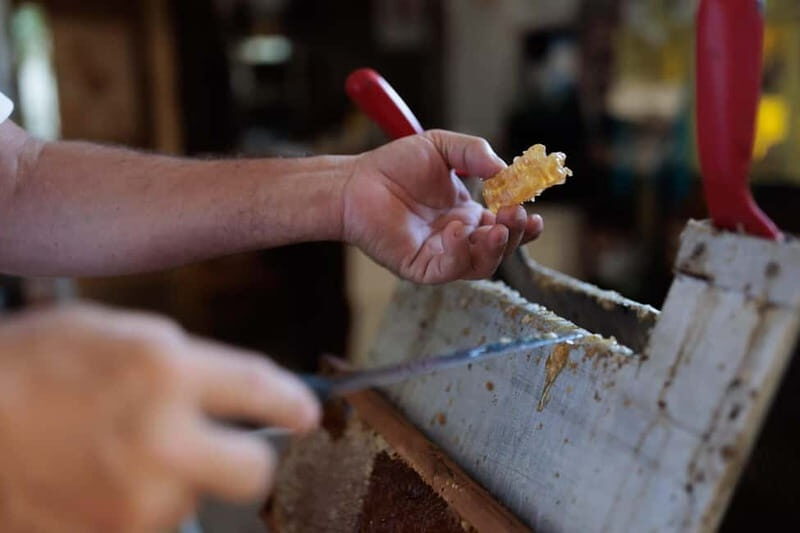 Roga: Solta Island Wine, Honey, and Olive Oil Tasting Tour - Who Will Love This Tour?
