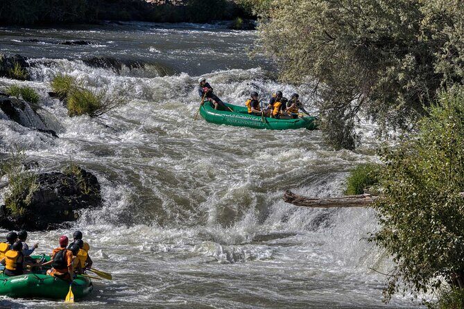 Rogue River Half Day Whitewater Trip Nugget Falls - Key Points