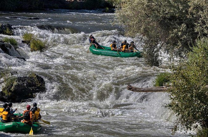 Rogue River Half Day Whitewater Trip Nugget Falls - The Sum Up
