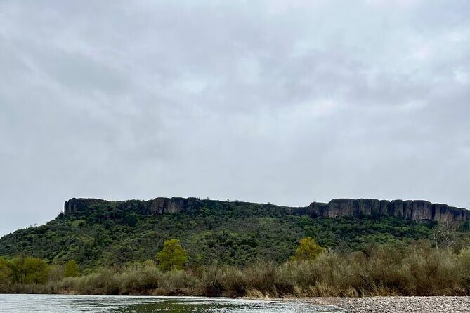 Rogue River Private Half-Day Scenic Trip - Discovering the Rogue River: A Scenic Journey