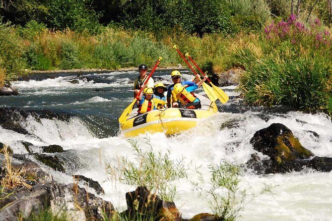 Rogue Valley Rapid Run - An Overview of the Rogue Valley Rapid Run