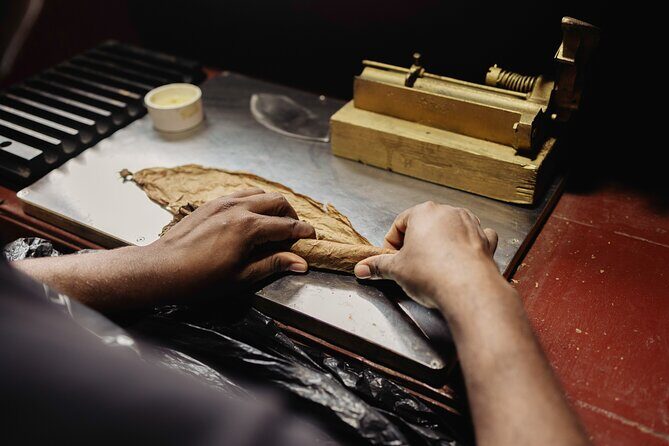 Roll your Own Cigar in Puerto Plata - What the Tour Offers and Why It Matters