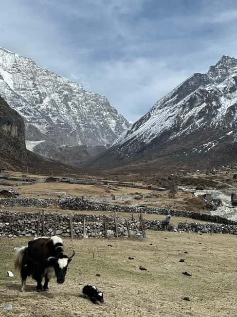 Rolwaling Valley Trek: Explore Sacred Lakes 12-Days - Cost and Value Analysis