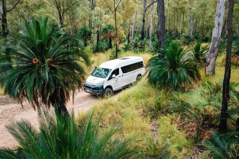 Roma: Lost World Carnarvons and Wallaroo Day Tour - What Makes This Tour Special?